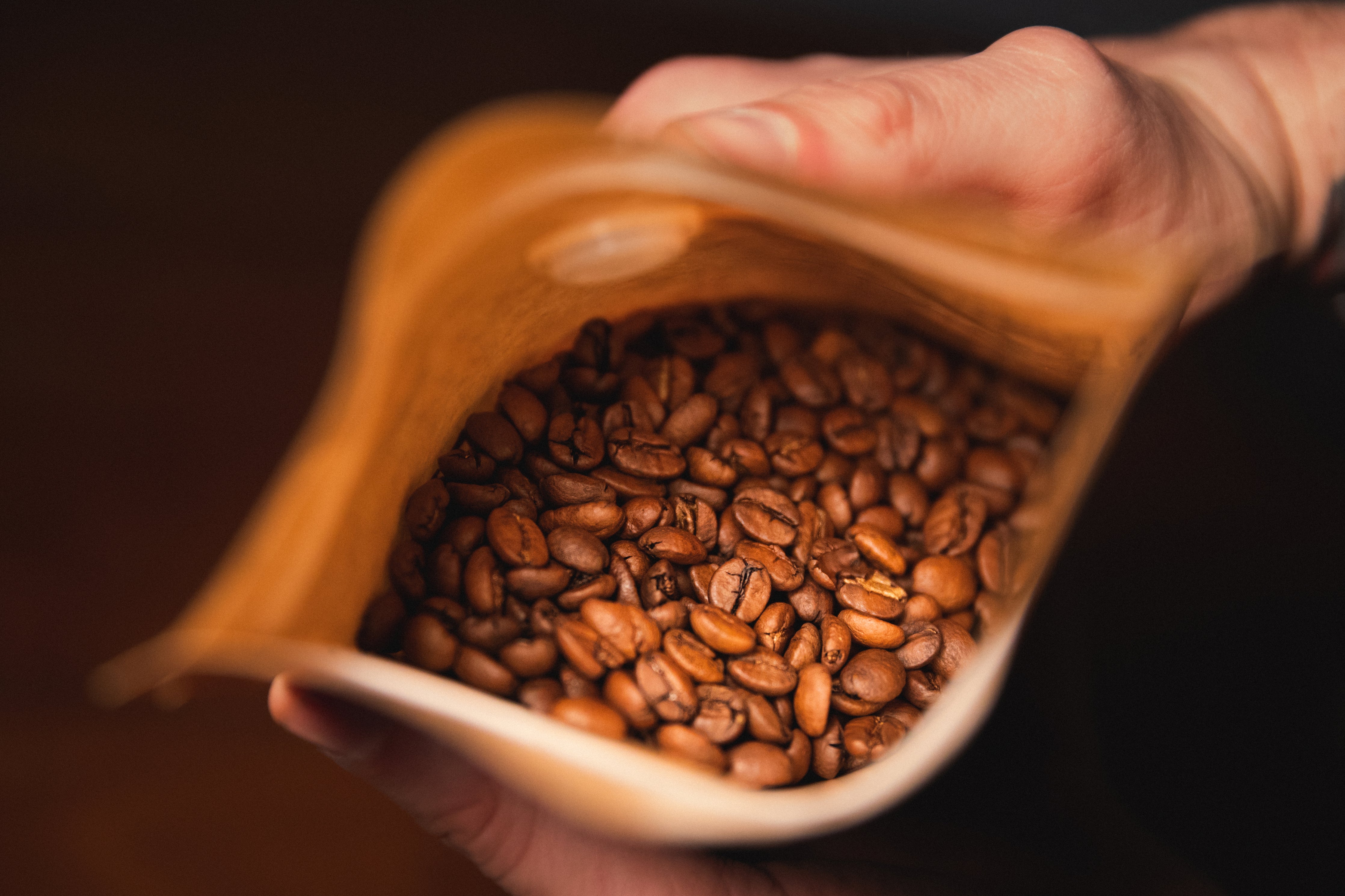 Micro torrefazione Artigianale a Roma – Big wave coffee roasters